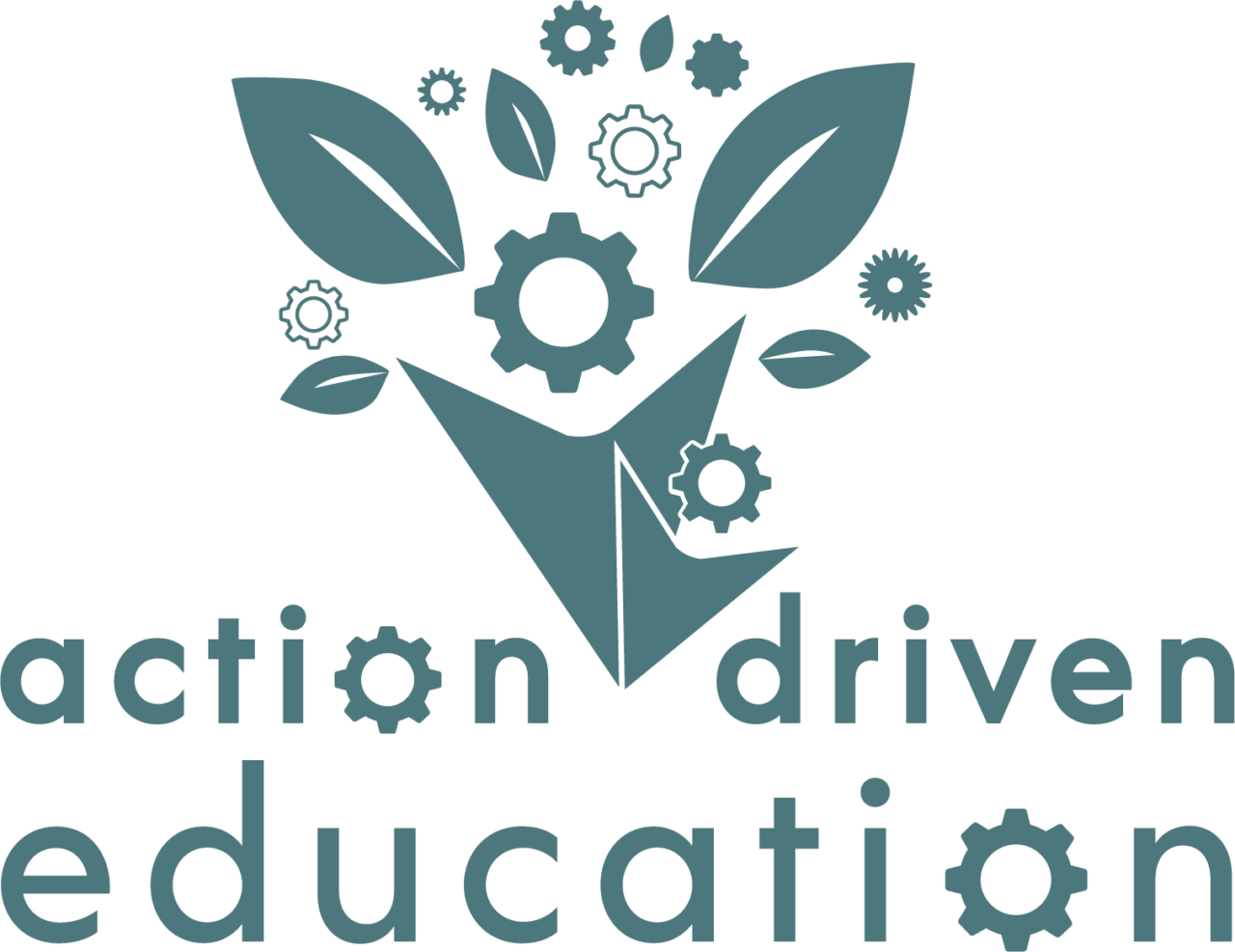 Special Education Teaching Solutions - Action Driven Education